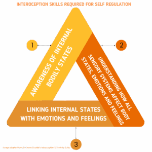 Learn - Interoception: the hidden sense that can help children ...